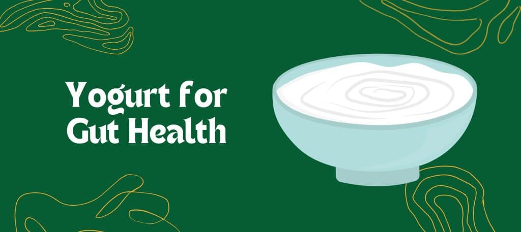 Best Yogurt for Gut Health - Top Choices for a Healthy Digestion